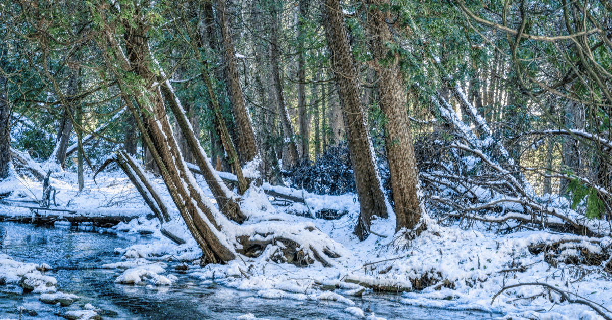 Winter Backpacking in Oregon | North of Bleu