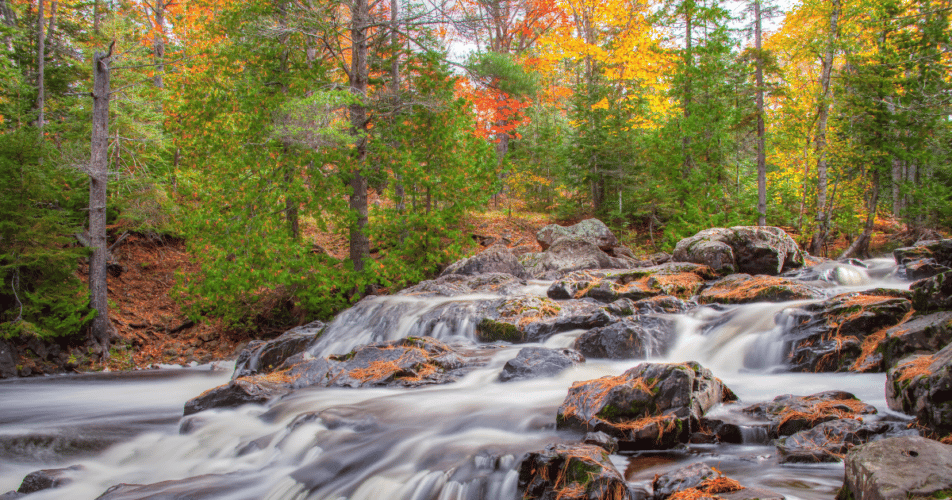 The Best Time to See Fall Colors in Upper Michigan | North of Bleu