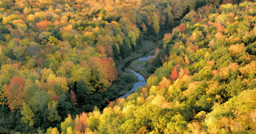 The Best Time to See Fall Colors in Upper Michigan | North of Bleu